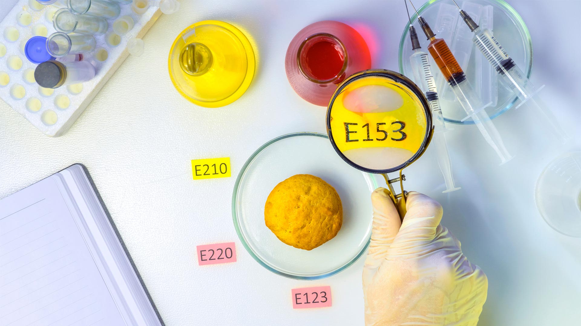 食品和饮料投加与消毒系统的高效操作